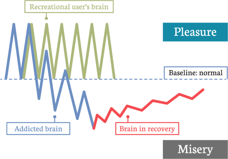 How do drugs affect the brain? – Families for Addiction Recovery